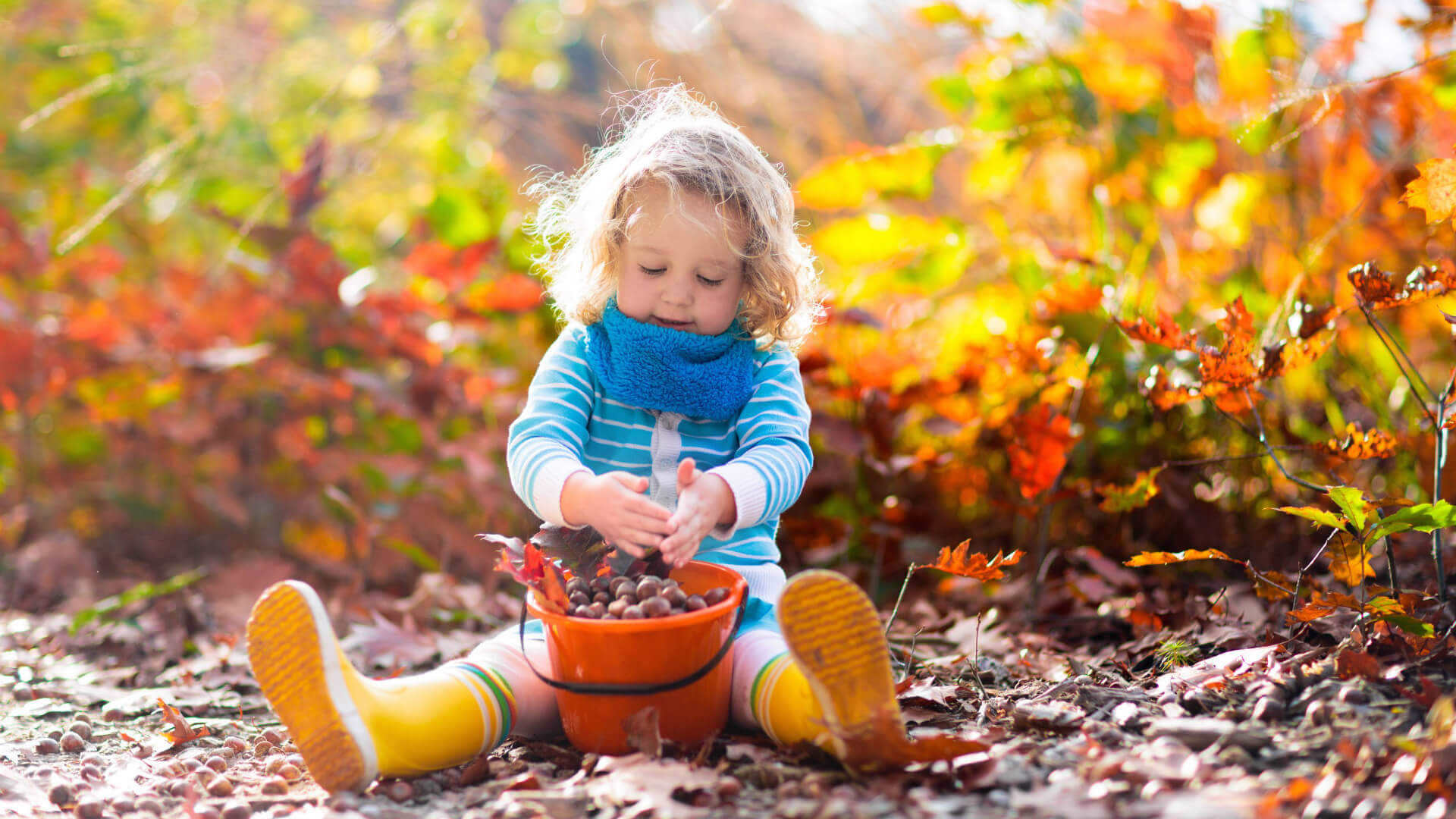 Clare Devlin Education Consultancy : Welcome To Clare Devlin Education Consultancy