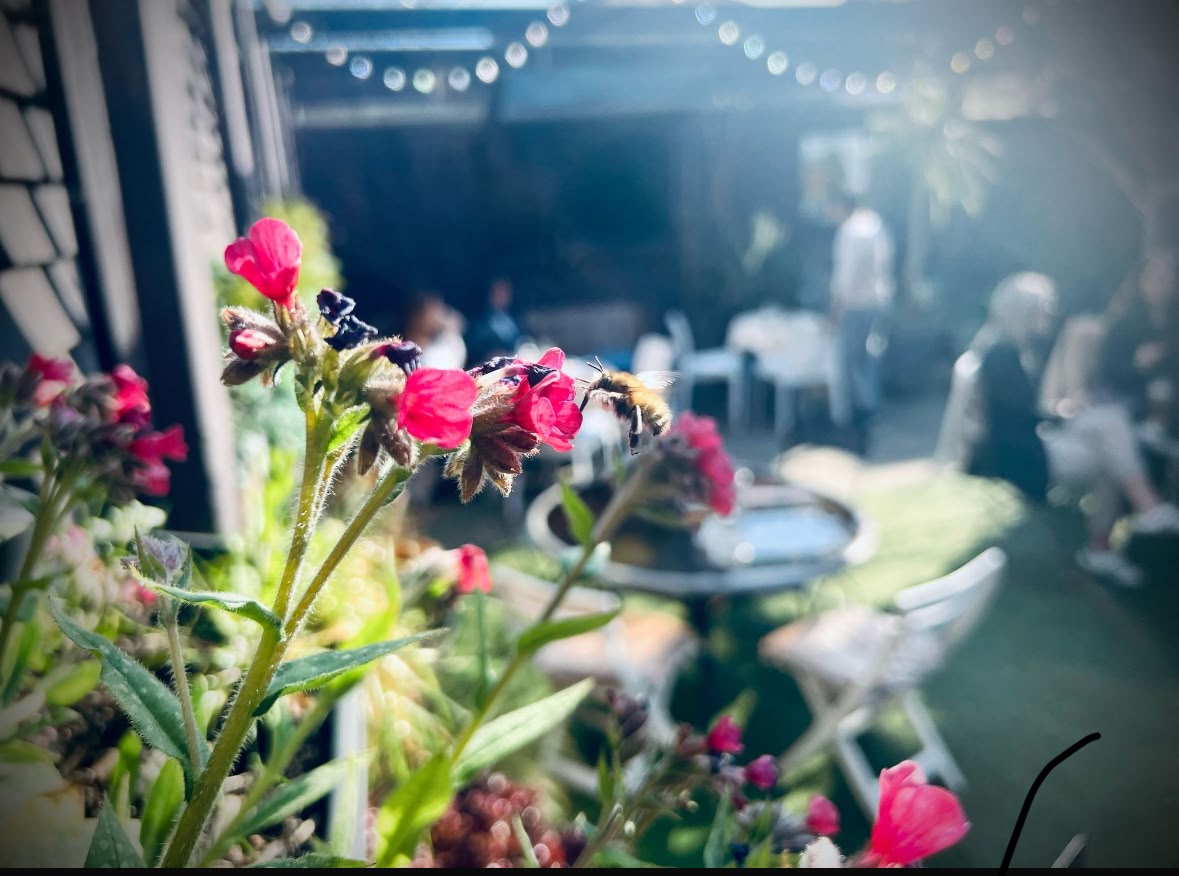 The Pear Tree Fulham : Rich in character, traditional pub