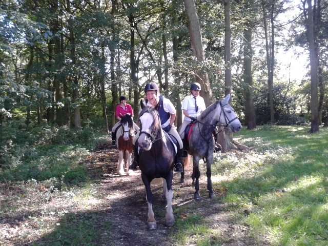 Gallery : Mapperley Farm