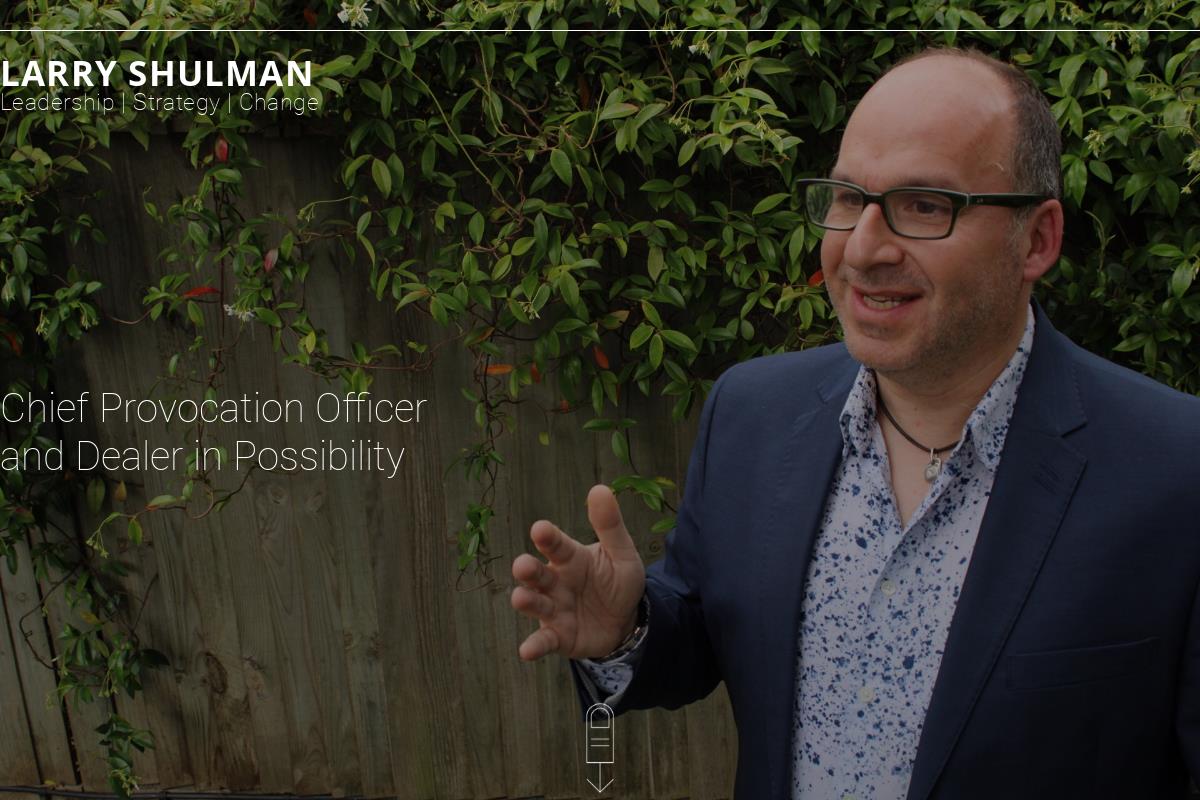 Welcome To Larry Shulman Consulting : Larry Shulman Consulting