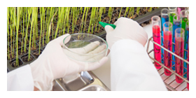 Welcome To Derwick Ltd : Derwick Ltd