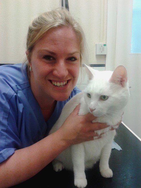 Meet the team : Arden House Animal Hospita