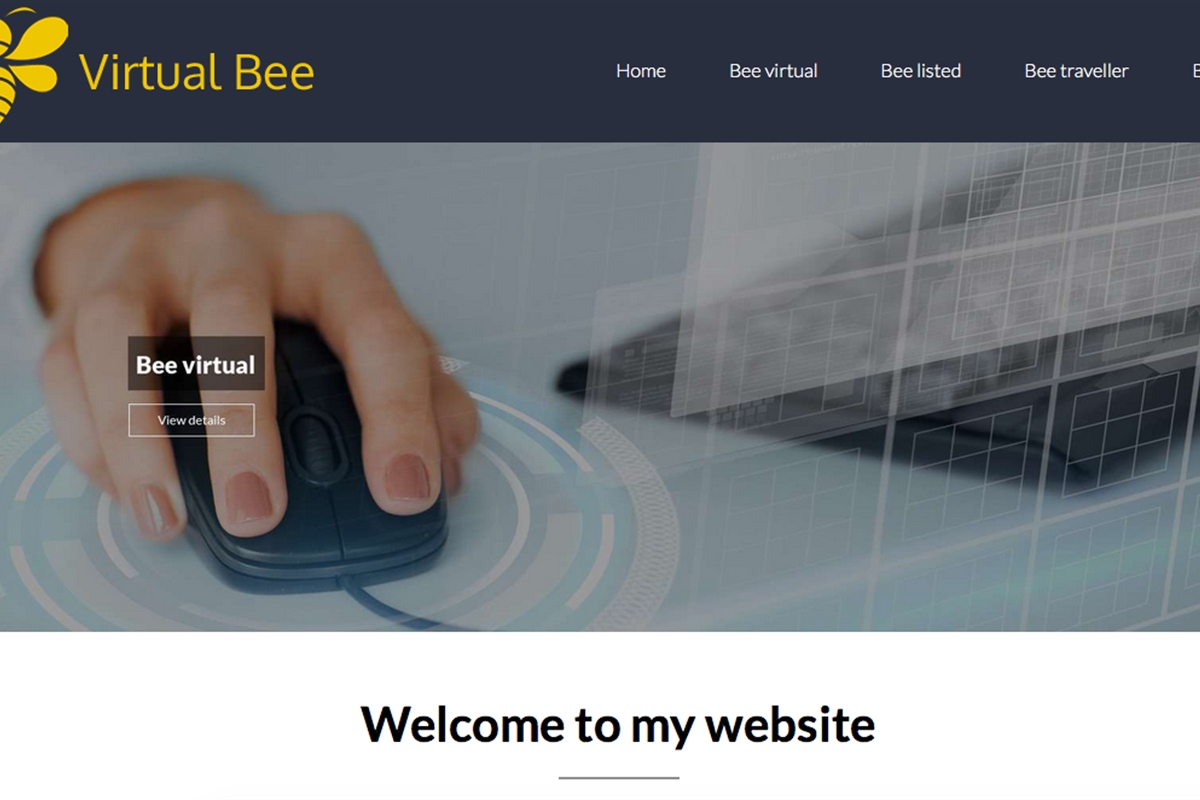 Welcome To Bee Virtual : Christel Groenewald