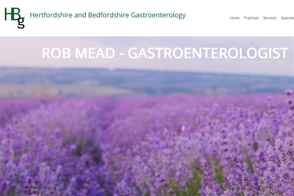 Welcome To Rob Mead : Gastroenterology services in Hertfordshire and ...