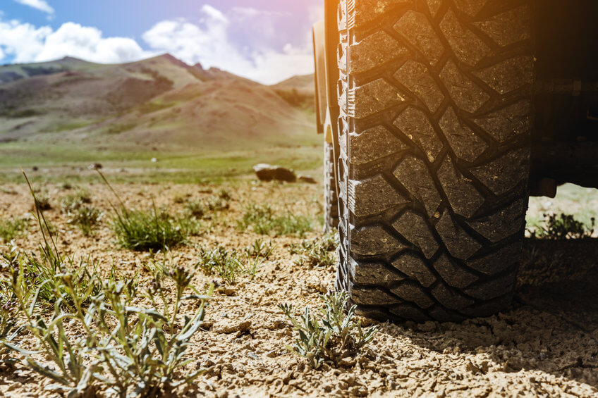Tyres : Selecta Tyres