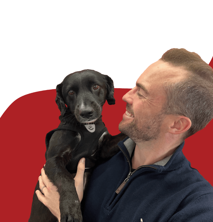 Toolkit Websites : About Toolkit Websites